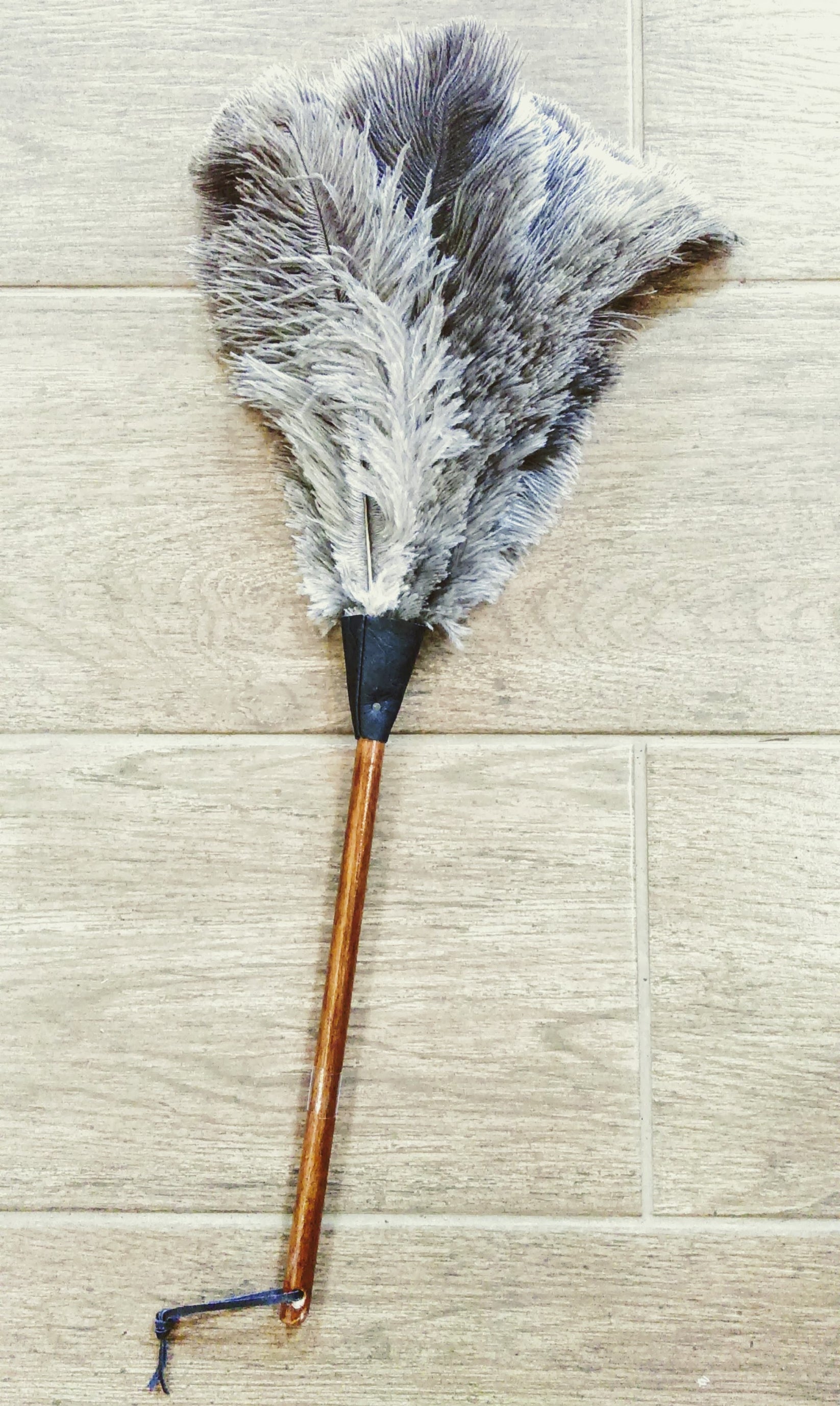Feather Duster with Timber Handle – The Green Store