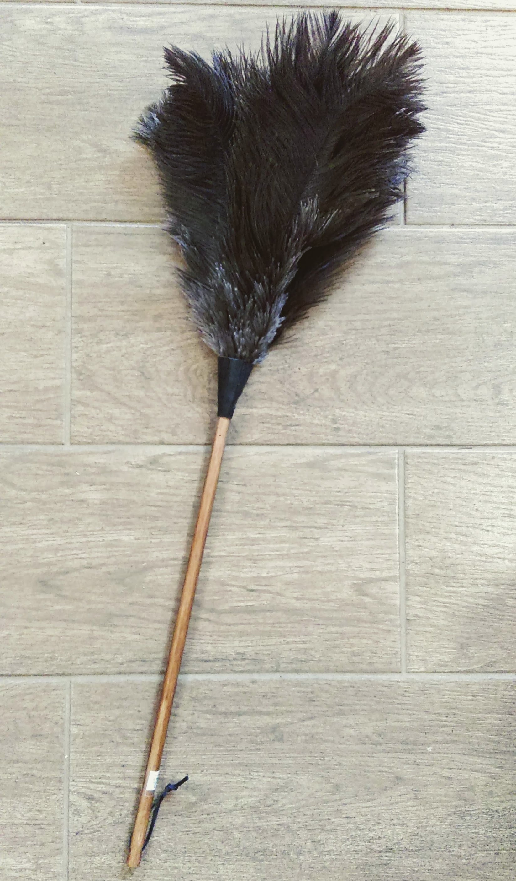 Feather Duster with Timber Handle – The Green Store
